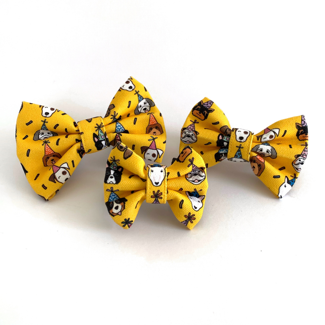 Dog bow tie melbourne store
