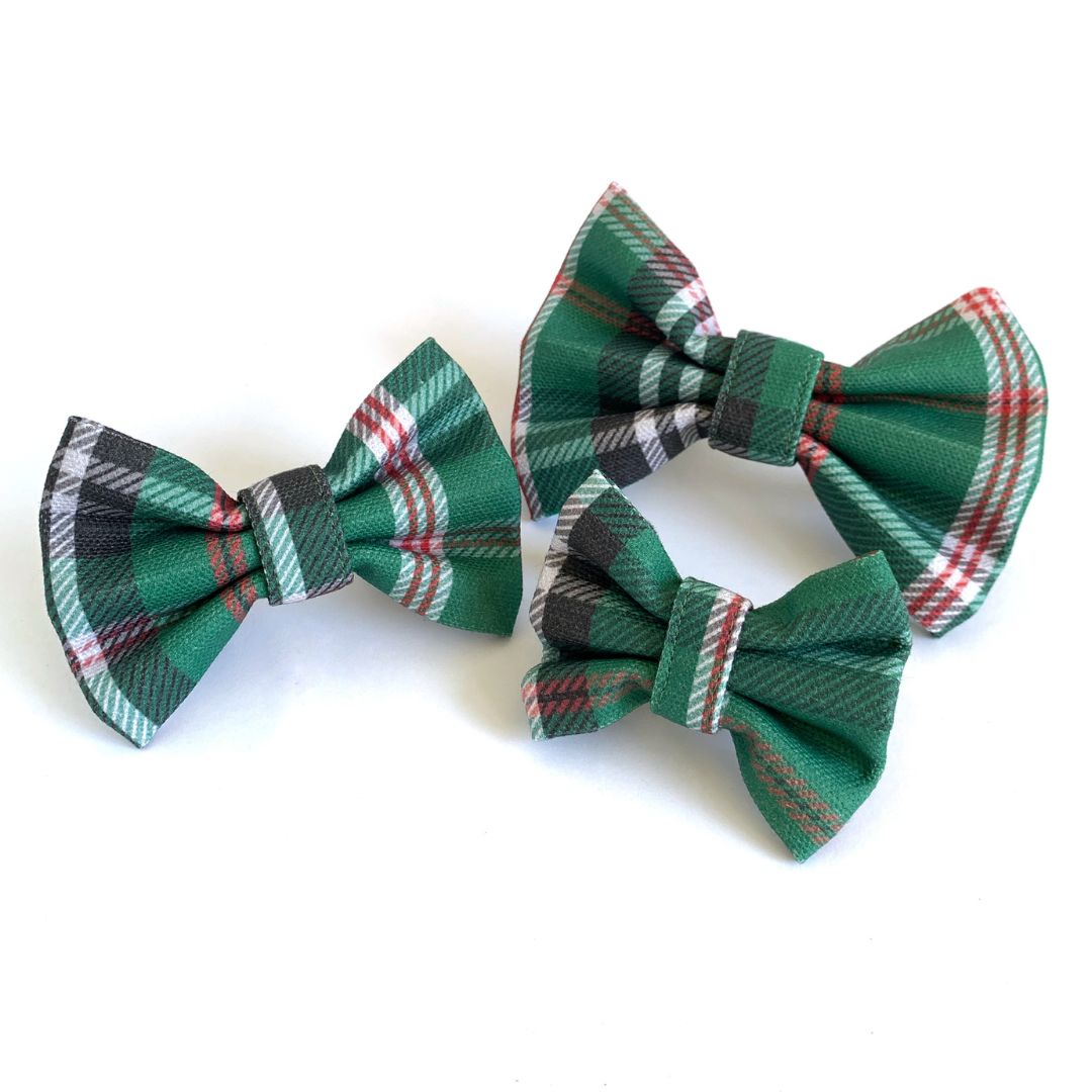 Freshly Groomed Dog Bow Tie Leaf and Leash